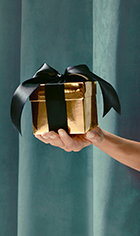 Triumph Online Shop - Login